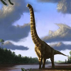 Top 10 beste dinosaurussen ooit