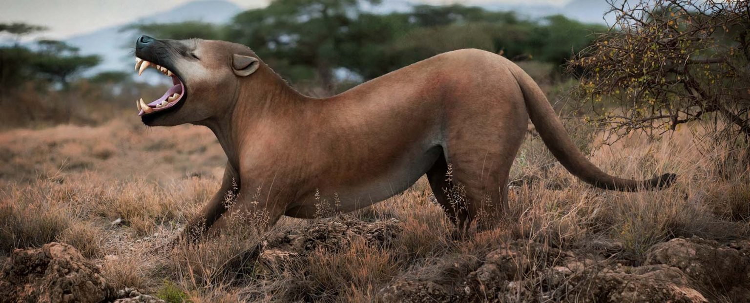 10 enorme prehistorische katten